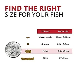 Fluval Bug Bites Cichlid Fish Food, Pellets for Medium to Large Sized Fish, 3.53 oz., A6581