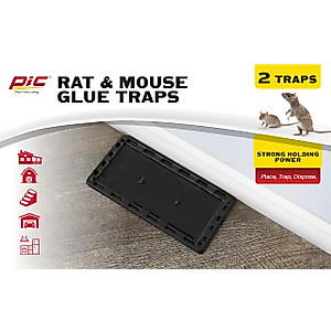 Pic GT2 Glue Rat Tray, 2-Pack