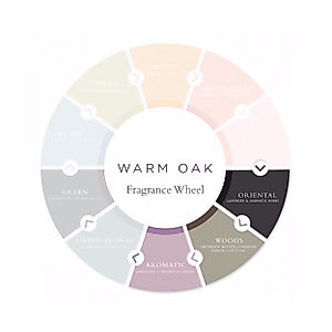 Gilchrist & Soames Warm Oak Shampoo - 9oz - Promotes Strong and Healthy Hair, All Hair Types, Zero Parabens, Sulfates, and Phthalates