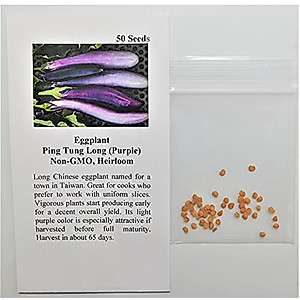 David's Garden Seeds Eggplant Ping Tung Long FBA-00068 (Purple) 50 Non-GMO, Heirloom Seeds