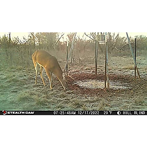 Stealth Cam GMAX32 NO GLO Vision 32MP Photo & 1080P Video at 30FPS 42-940nm LEDs 0.4 Sec Trigger Speed 100Ft Detection & IR Range Hunting Trail Camera