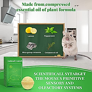 36 Pack Natural Mouse Repellent Peppermint Oil to Repel Mice and Rats, Rodent Repellent Balls for Car Engines Home Indoor & Outdoor, Mice Squirrel Deterrent Pet & Humans Safe