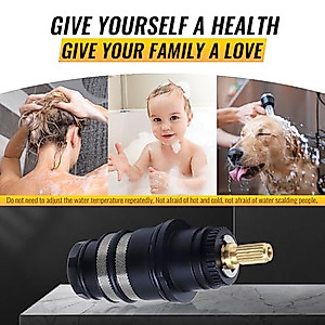 Thermostatic Shower Cartridge Replacement Parts Kit Compatible with Hansgrohe 98282000, Shower Bathroom Faucet Thermostatic Filter Vavle Core Chrome