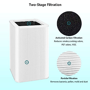 Blue Pure 121 Relacement Filter, Compatible with Blueair Blue Pure 121 Air Purifier, Particle and Activated Carbon Filter Captures Bacteria, Odors, Smoke, Dust