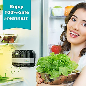 CARE HOME Refrigerator Deodorizer with Removable Suction Cups, Refrigerator Odor Eliminator, Beats Baking Soda Deodorizer for Fridge and Freezer, 1Pack