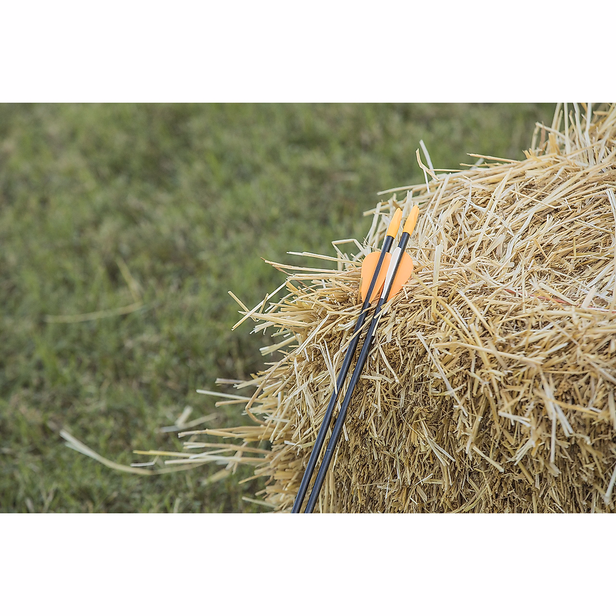 Bear Archery Youth Safety Glass Arrows, Durable & Splinter-Free Fiberglass Arrows, Nocks and Points Included, 26" Length