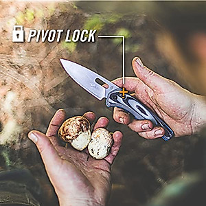 Gerber Gear 31-003928 Sumo Folding Pocket Knife, 3.9 Inch Fine Edge Blade, Cyan