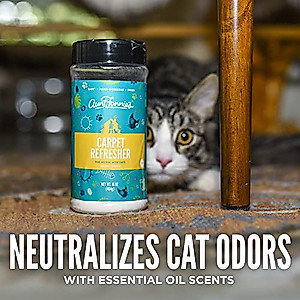 Aunt Fannie's Cat Carpet Refresher, Odor Neutralizing Powder for Homes with Cats, Kittens and Other Pets, Bright Lemon Scent, 16 Ounce (Pack of 1)