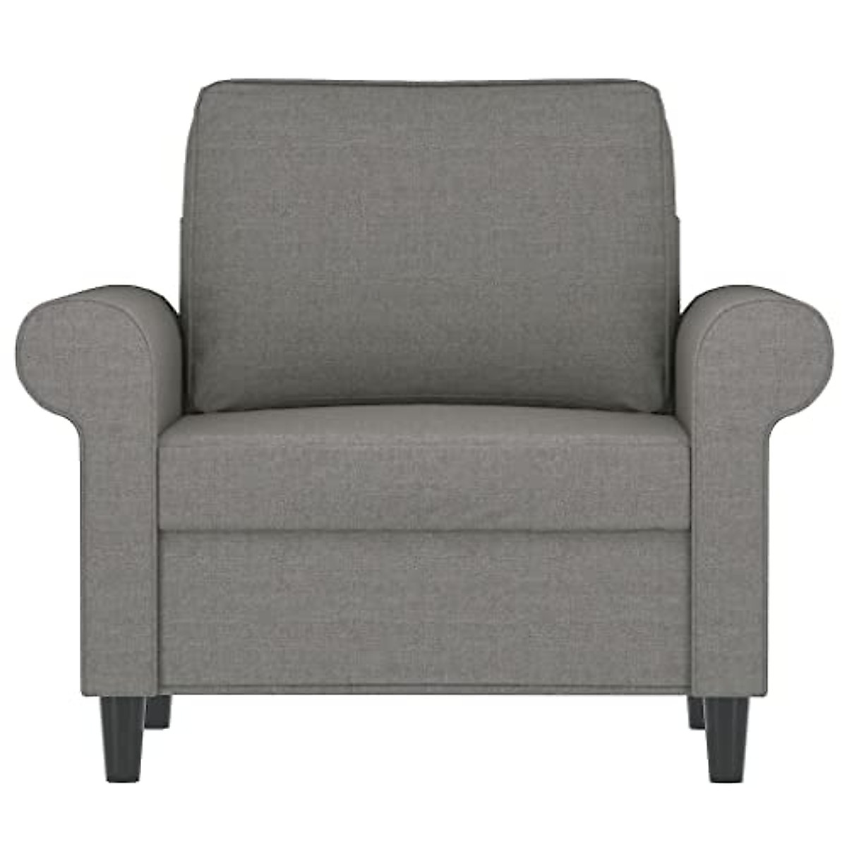 WHOPBXGAD Sofa Chair,Living Room Sofas, upholstered Sofas for Living Rooms, bedrooms, Offices and Apartments,Dark Gray 23.6" Fabric