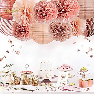 NICROLANDEE Rose Gold Party Decorations -12PCS Elegant Party Supplies Tissue Pom Poms Paper Lantern Glitter Confetti 30G for Wedding Bridal Shower Baby Shower Birthday Bachelorette Party Decorations