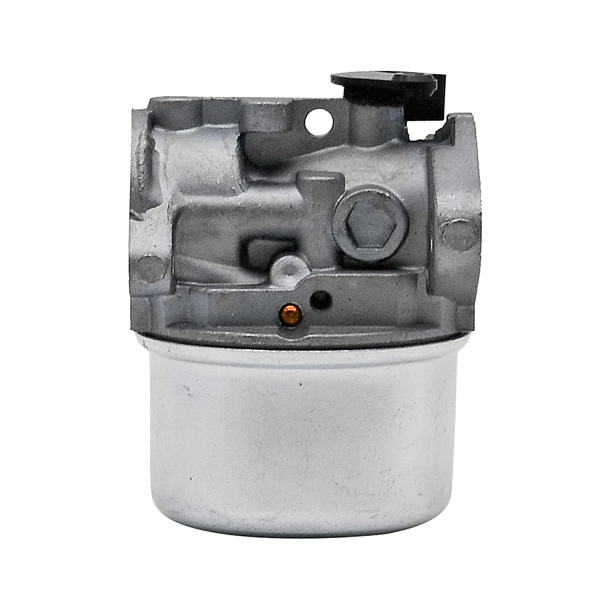 Rebuiman 799868 Carburetor Fit For 498170 799872 694202 497586 498254 4-7 hp Engines with Fuel Line and gasket