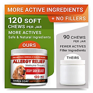 Glucosamine Treats + Allergy Relief Dog Bundle - Joint Supplement w/Omega-3 Fish Oil + Itchy Skin Relief - Chondroitin, MSM + Pumpkin, Enzymes, Turmeric - Skin & Coat - Bacon Flavor + Vegetable Chews
