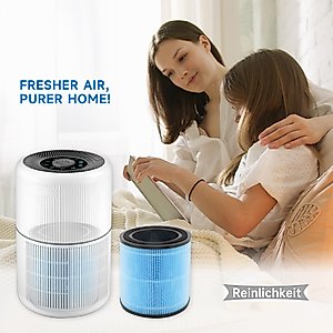 Reinlichkeit AP0601 Replacement Filters Compatible with Airtok Air Puri-fier, 4-in-1 H13 True HEPA Filters, High-Efficiency Activated Carbon Filter, AP0601-RF 4 Pack