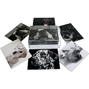 Small World Greetings Dog Note Cards 24 Count - Blank Inside with Envelopes - A2 Size 5.5" x 4.25" - All Occasions - Birthday, Thank You, and More