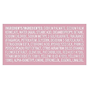 Caress Beauty Bar Soap For Noticeably Silky Soft Skin Daily Silk Extract and Floral Oil Essence 3.15 oz 3 Bars