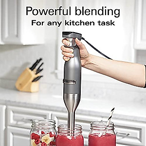 Hamilton Beach Professional Electric Immersion Hand Blender with Variable Speed + Whisk, 300 Watts, LED Screen, Stainless Steel (59750)