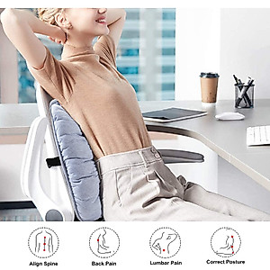 Big Hippo Lumbar Support Pillow, Orthopedic Lumbar Pillow/Back Cushion for Office Chair, Car Seat or Wheelchair - Ergonomic Design for Back Pain Relief