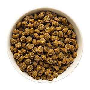 Zuke’s Mini Naturals Soft Dog Treats for Training, Soft and Chewy Dog Training Treats with Salmon Recipe