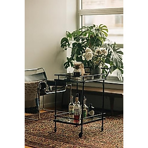 Nathan James Sally Rolling Bar or Cart for Tea or Cocktail, 2-Tiered Glass and Metal, Black