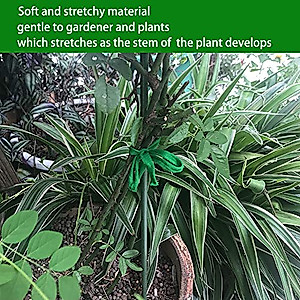 Garden Tree Tie, 164 Feet 8mm Soft Durable Green Plant Twine Stretchy Tree Supports Biodegradable for Tomato Plants, Climbing Roses and Vines Organizing