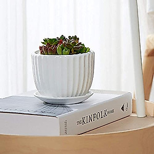 HXYPN Succulent Pot Round Stripe White Ceramic Pots 4 inch Plant Pots Small Flower Planter Pot, Pack of 4 - Plants Not Included