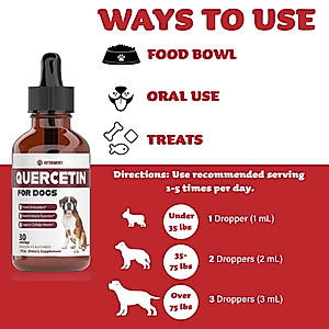 Quercetin for Dogs | Dog Allergy Relief | Quercetin for Dogs Allergies | Dog Allergy | Quercetin | Dog Allergy Support | Quercetin Dog | Dog Allergies | Quercetin Supplements | Bacon Flavor (2 Pack)
