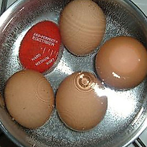 Norpro Egg Perfect Egg Timer