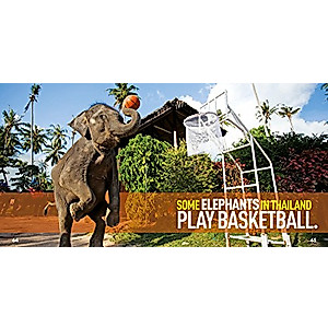 Weird But True Sports: 300 Wacky Facts About Awesome Athletics