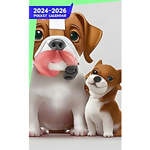Pocket Calendar 2024 - 2026 With Moon Phase: Three-Year Monthly Planner for Purse , 36 Months from January 2024 to December 2026 | Comic-style image | ... son | Lovable and playful | Heartwarming bond