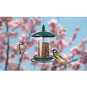 Bird Feeder for Outdoors, Small Bird Feeder, Holds 1.50LB Seeds, Suitable for Small Seed Grains, Metal Bird Feeder for Outdoors Hanging