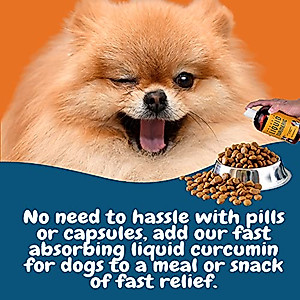 Kangaroo Dogs Organic Turmeric Curcumin Dog Joint Supplement - Liquid for Faster and Better Absorption Natural Dog Joint Supplement Liquid (8 oz)