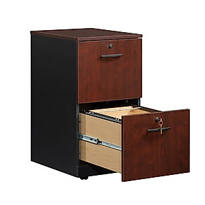 BOWERY HILL 2 Drawer Transitional File Cabinet in Classic Cherry