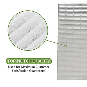 Homeland Goods True HEPA Replacement Filter S, Compatible with Winix C545 Air Purifier, Replaces Winix S Filter 1712-0096-00, H13 Grade 1 True HEPA Filter + 4 Activated Carbon Filters (2)