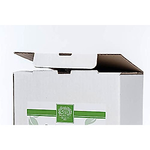 Small Pet Select- Small Animal Pelleted Paper Bedding for Rabbits, Guinea Pigs, and Other Small Animals, 20lb