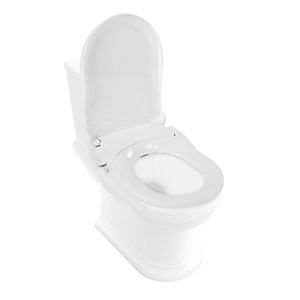 Non-Electric Bidet Toilet Seat Self Cleaning Water Sprayer with Dual Nozzles D-type Toilet Seat Bidet Seat Toilet for Rear & Feminine Cleaning Bidet Attachment,Soft Close