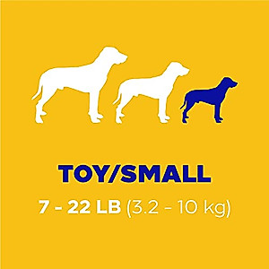 Pedigree DENTASTIX Toy/Small Dog Dental Treats Original Flavor Dental Bones, 56 oz. Multipack (232 Treats)