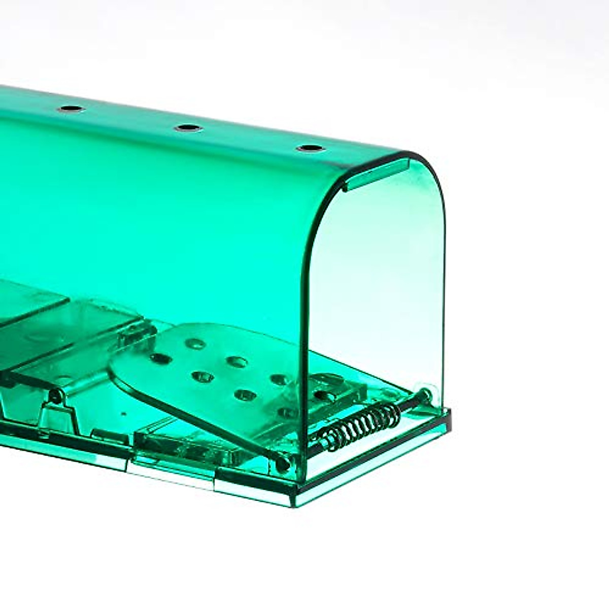 6 Pack Humane Mouse Traps Catch and Release Pet and Child Safe No Poison Green Color