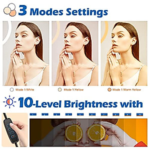 Aureday 12'' Selfie Ring Light with 62'' Tripod Stand and Phone Holder, LED Lighting with Phone Stand for Video Recording, Compatible with Cell Phones and Cameras