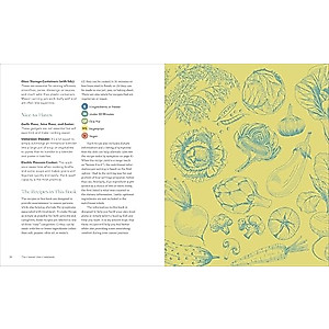 The Cancer Diet Cookbook: Comforting Recipes for Treatment and Recovery