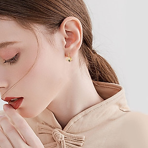 KECHO 14k Yellow Gold Honey Bee Leverback Earrings for Women, Fine Gold Jewelry Gifts for Her (Bee Leverback)