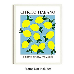 Abstract Fruit No.11 Lemons Exhibition Wall Art Print. 11x14 UNFRAMED Modern Kitchen Wall Decor. Shades of Green, Yellow & Blue on White.