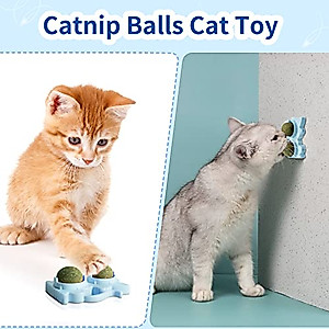 Catnip Balls for Cats Wall Catnip Ball Toy, 2 Pack Edible Cat Nip Ball Double Ball for Cats Chew Toy, Rotatable Interactive Cat Kitten Toys of Indoor Cats for Teeth Cleaning & Soothe the Mood (Blue)