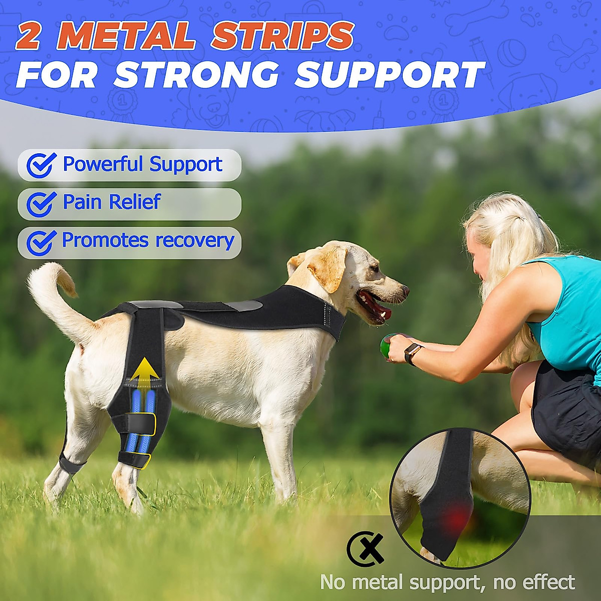 Dog Knee Brace for Torn ACL Hind Legs, Anti-slip Dog Leg Braces for Back Legs with Comfort Vest, Strong Support Dog ACL Hip Brace with 2 Metal Strips and Adjustable Belt for Cruciate Ligament Injury
