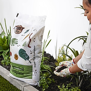 Brut Organic Potting Soil – 1 CF – Everything Your Plants Need in one Bag. Indoor and Outdoor Container Plants. 2 Pack