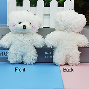 WEGUTATS 12 Pack Mini White Teddy Bears , 4.7 inch Tiny Soft Stuffed Teddy Bear, Mini Plush Bears Bulk for Birthday Table Decor Centerpiece Bag Fillers Party Favors DIY Keychain Crafts, WE