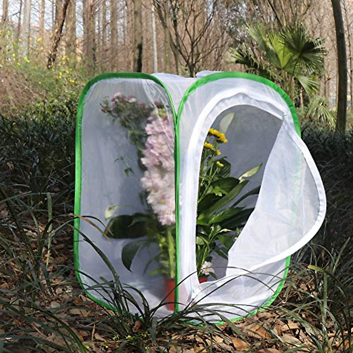 RESTCLOUD Insect and Butterfly Habitat Cage Terrarium Pop-up 24 Inches Tall with Zipper Protection