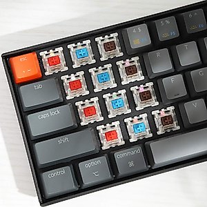 Keychron K6 Hot Swappable Wireless Bluetooth 5.1/Wired Mechanical Gaming Keyboard, 65% Compact 68-Key RGB LED Backlight/Gateron Red Switch/Rechargeable Battery for Mac Windows