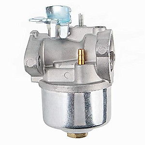 Carbhub 594014 Carburetor for Briggs and Stratton 590907 594014 798918 794588 794197 791955 Carburetor for Craftsman 536.881851 Snowblower 8.5HP Engine Carb, 594014 Carburetor