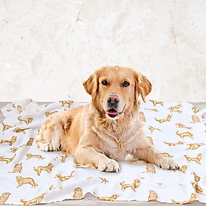 LifeTree Baby Swaddle Blankets Dog, 70% Viscose from Bamboo and 30% Cotton Muslin Swaddle Blankets Boys Girls Swaddling Blanket Neutral for Newborn, Soft Large 47" x 47", Golden Retriever Dog