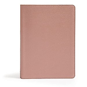 CSB She Reads Truth Bible, Rose Gold LeatherTouch, Indexed, Black Letter, Full-Color Design, Wide Margins, Journaling Space, Devotionals, Reading Plans, Single-Column, Easy-to-Read Bible Serif Type